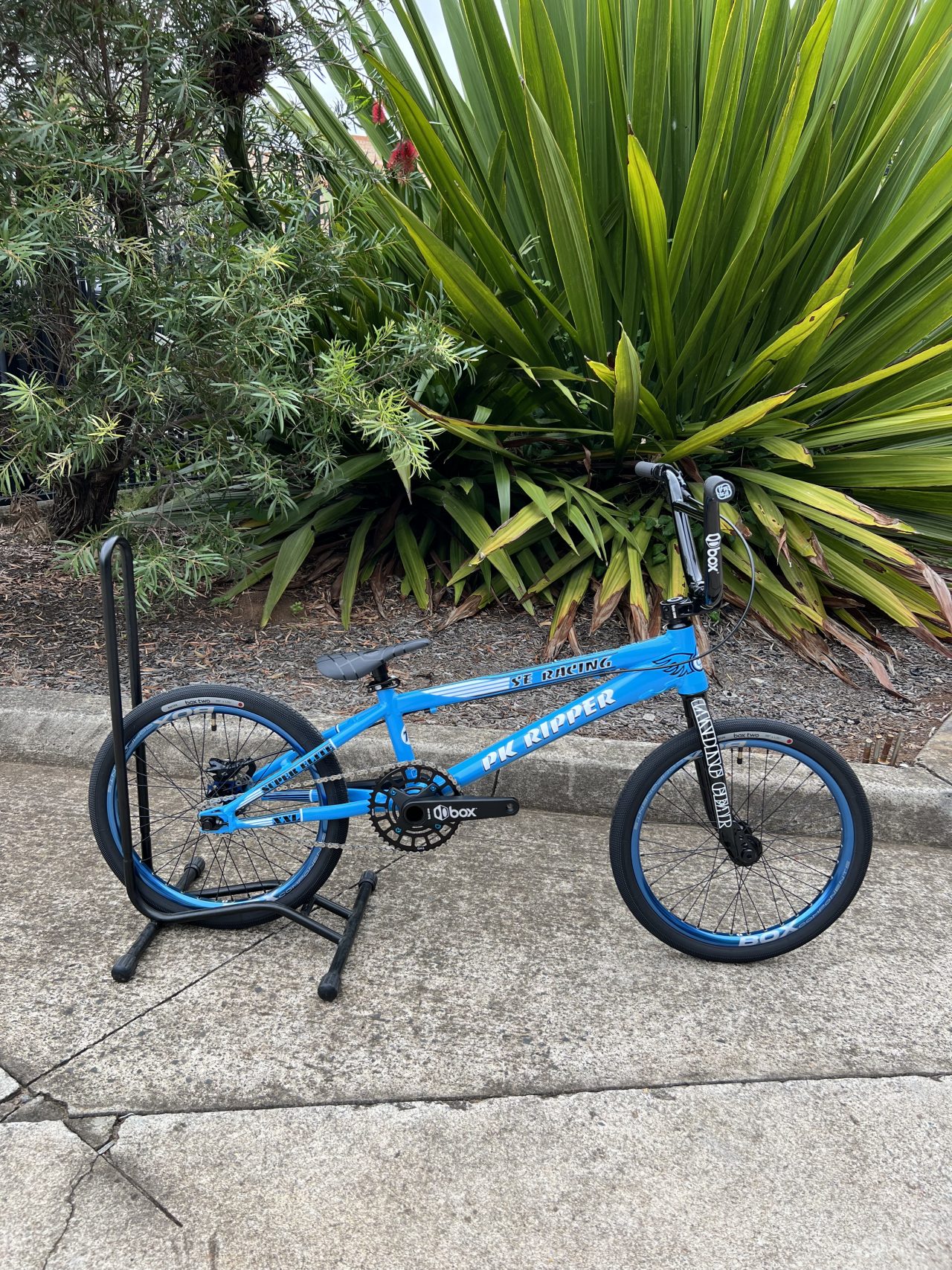 Instore Specials | DNA Cycles